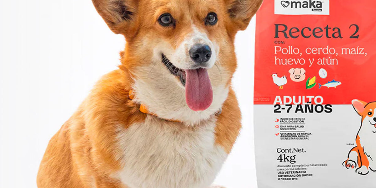 Somos Maka — Getmore